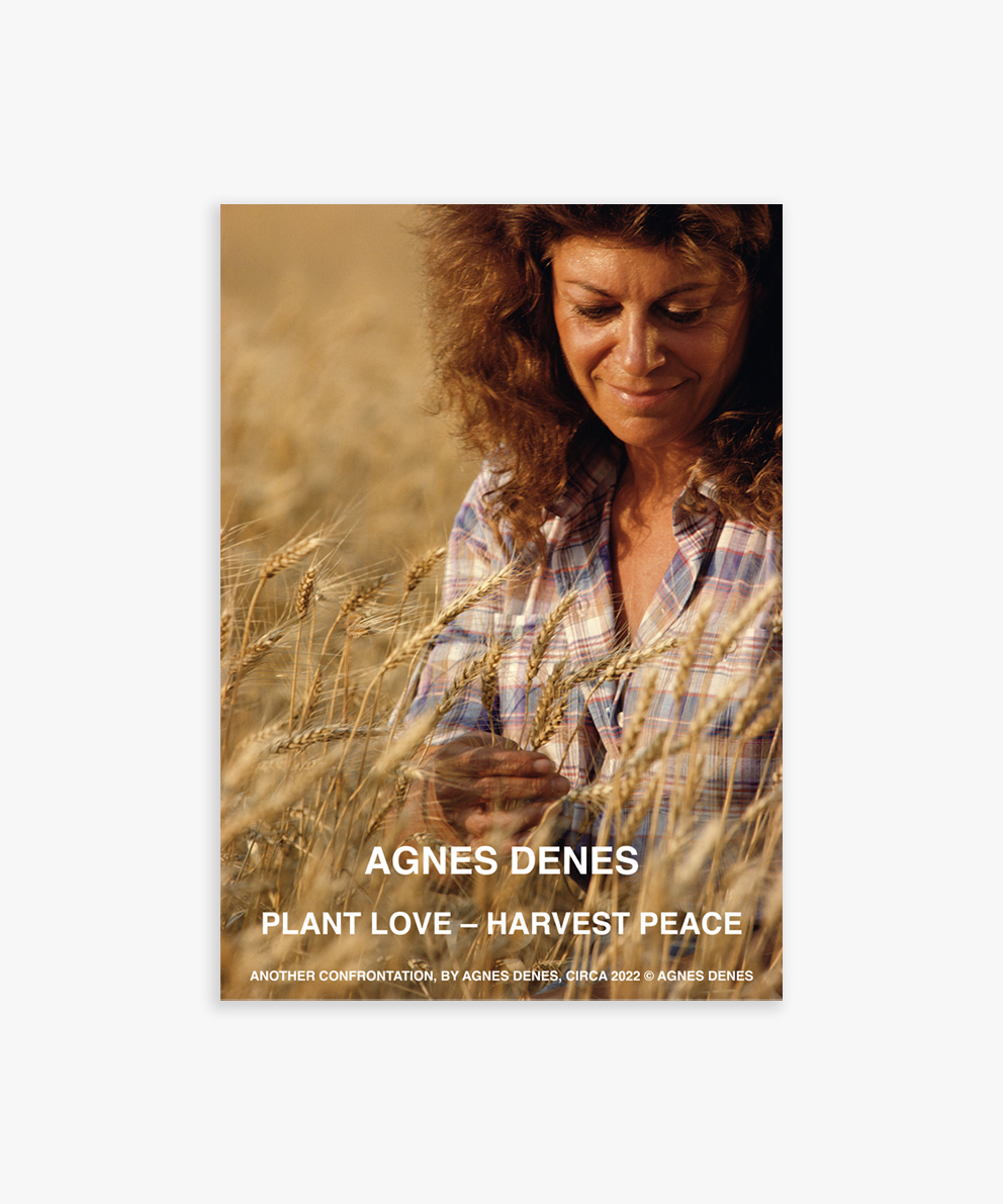 Agnes Denes, Limited-Edition Prints | CIRCA